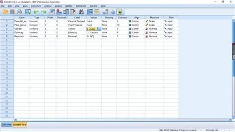 How Do I Compute A Variable In Spss On The Condition Of Two Categorical