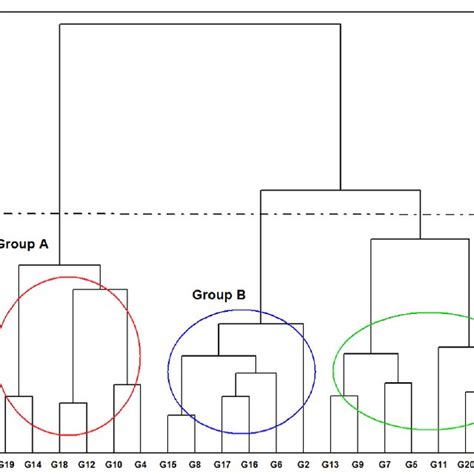 Hierarchical Cluster Analysis Of The 20 Durum Wheat Genotypes Based On