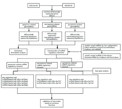 Left This Flowchart Illustrates Preanalytical Analyti