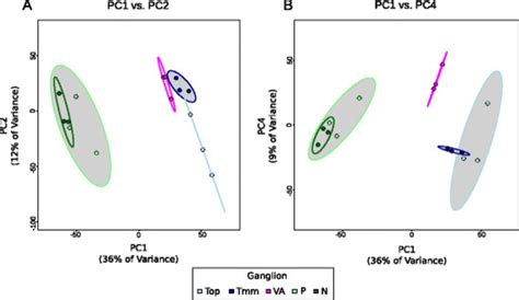 Principal Component Analysis Of Transcriptome Wide Data Displaying