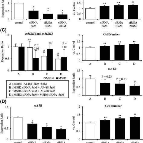 Correlation Between Msh6 And Msh2 Expression And Atr Expression The