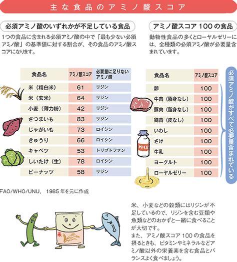 タンパク質とアミノ酸の違いは？種類や結合・分解などの働きも解説！ お食事ウェブマガジン「グルメノート」