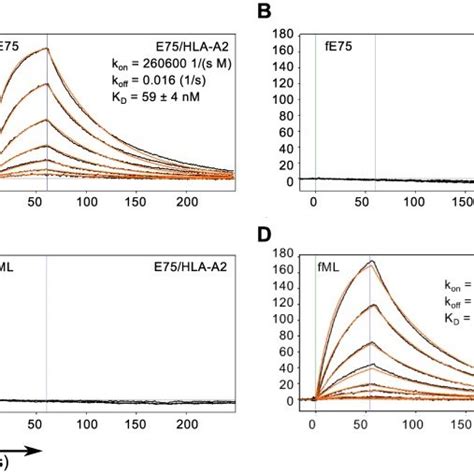 Spr Binding Response Curves Of Fe75 Binding E75 Hla A2 A And