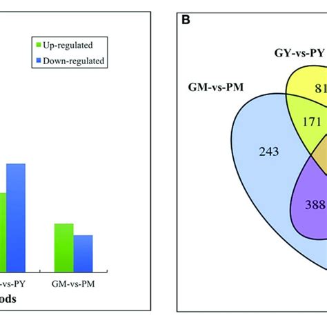 Functional Annotation And Classification Of Differentially Expressed