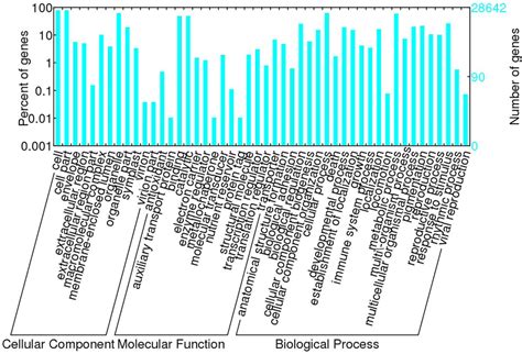 Gene Ontology Go Categories Of Unigenes Unigenes Were Annotated In