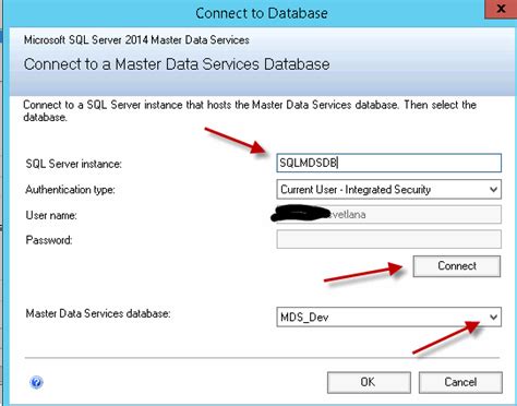 install and configure multiple instances of master data services mds on