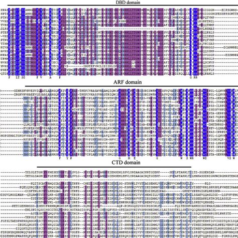 clustalw multiple sequence alignment of 19 rciaa proteins conserved