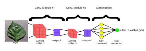 Plant Disease Detection Using Deep Learning Freelancer