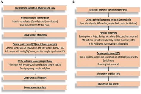 Frontiers Development And Applications Of A High Throughput