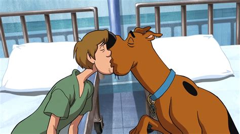 Scooby Doo Mystery Incorporated Shaggy And Velma Kiss