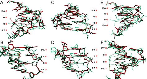 Dna Dependent Divalent Cation Binding In The Nucleosome Core Particle