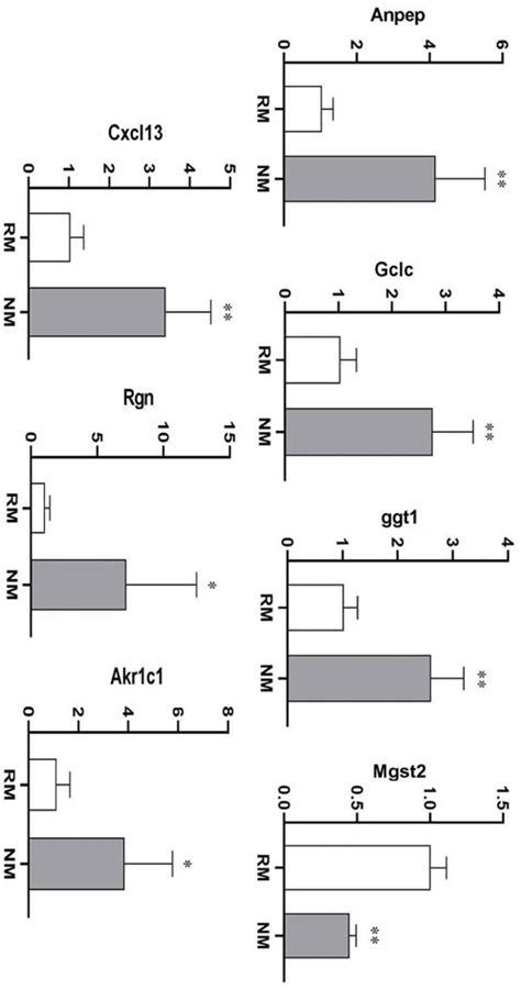 Frontiers Integration Of Transcriptomics And Metabolomics Reveals The