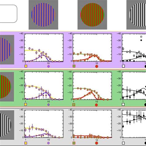 Modulation Transfer Functions Mtfs For Vertical Spatio Temporally