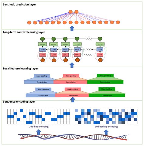 prediction of dna binding proteins using local features and long term