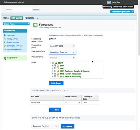 How To Set Quotas In Salesforce Einstein Hub Salesforce Guide