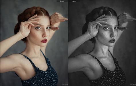 Pro Portrait Lightroom Presets Photoshop Brushes Photoshop Actions