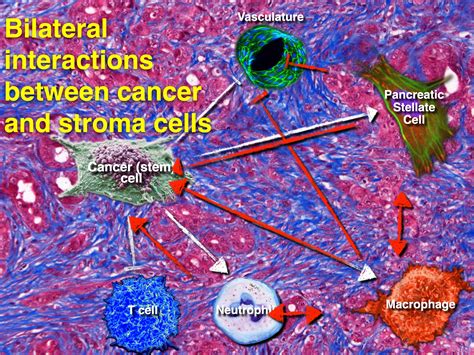 Research Center For Single Cell Omics