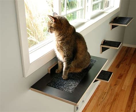 Beautiful And Functional Cat Climbing Shelves From Square Cat Habitat