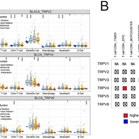 The Association Between Copy Number Variations A Or Mutations B Of