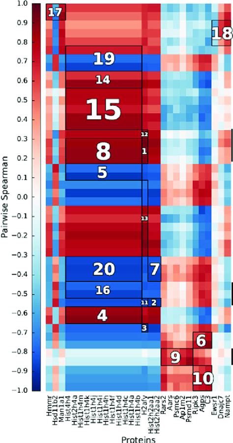 Heatmap Of Spearmans Rank Correlation Coefficients Associations Were