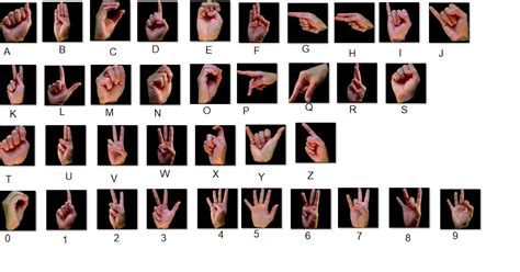 Sign Language Recognition Using Python And Opencv