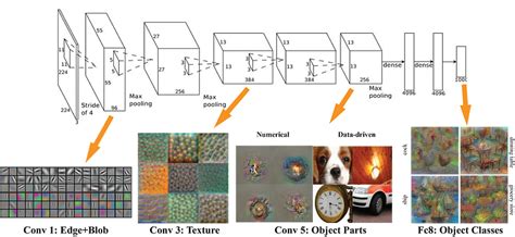 How To Use Deep Learning When You Have Limited Data Laptrinhx News