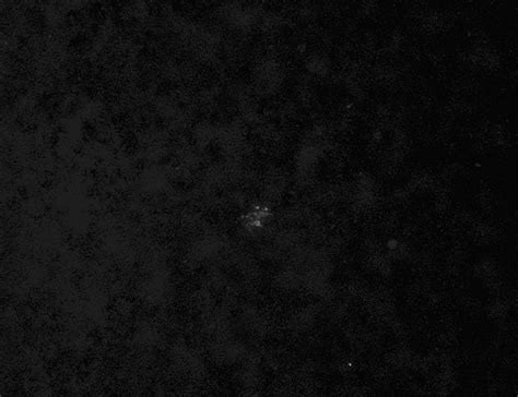 python opencv remove background noise and increase