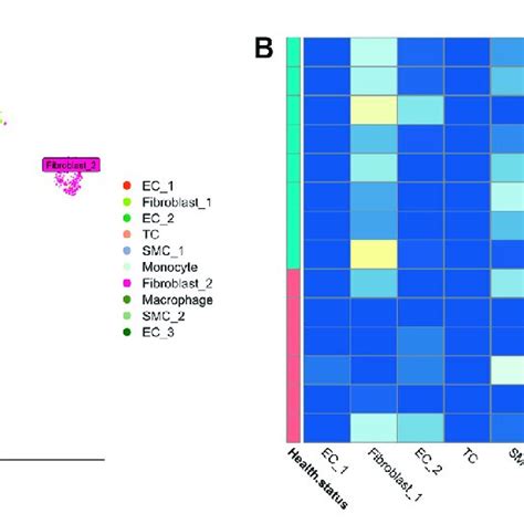 A 10 Cell Types B Deconvolution Analysis Was Performed Using