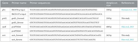 Frontiers Development Of A Quadruplex Pcr Amplicon Next Generation