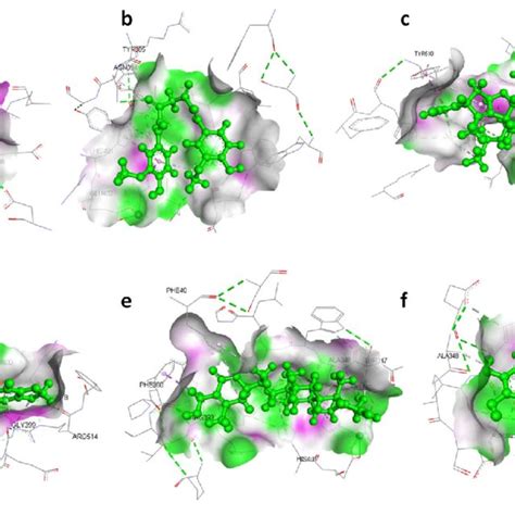 3d Structural Views Of Ligand Binding Site The 3d Structures Display