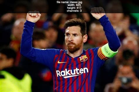 introduction — opencv tutorial 2019 documentation