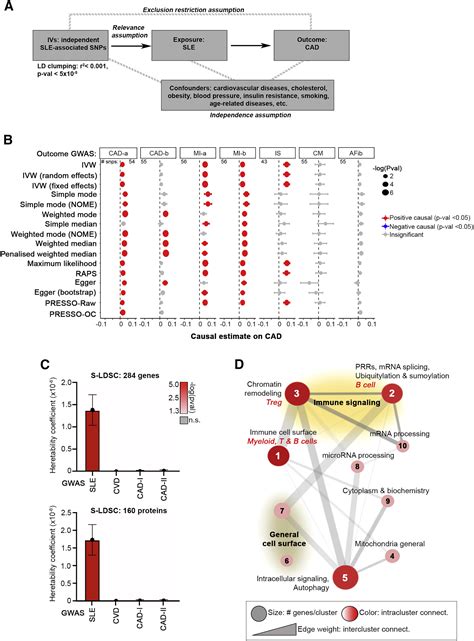 Mendelian Randomization And Pathway Analysis Demonstrate Shared Genetic