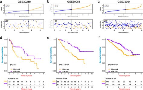Validation Of The Prognostic Model Utilizing External Cohorts A C The