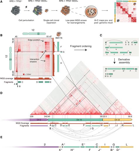 Somatic Structural Variant Formation Is Guided By And Influences Genome
