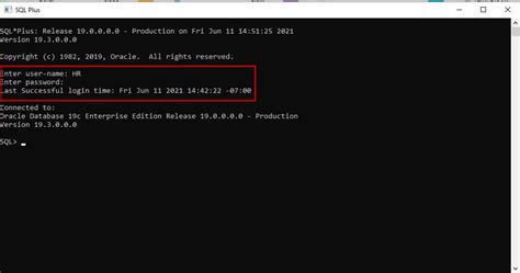 Installing Oracle 19c On Windows Server 2019