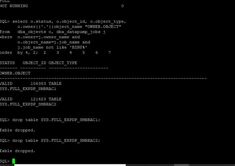oracle database commands and practical examples expdp error ora