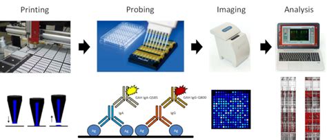 Viral Antigen Microarray Assay To Detect Antibody Isotypes In Serum