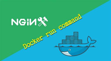 how to use `docker container run` command to run docker
