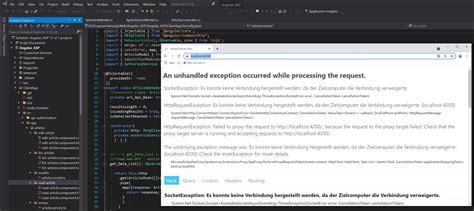 fehler an unhandled exception occurred while processing