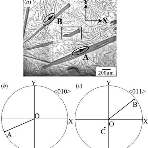 A Shows The Microstructure In The Longitudinal Section Of The