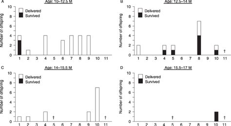 Moderate Caloric Restriction Initiated In Rodents During Adulthood