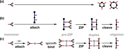 A Untemplated Oligomerization Of The Monomer Red Gives A Mixture Of
