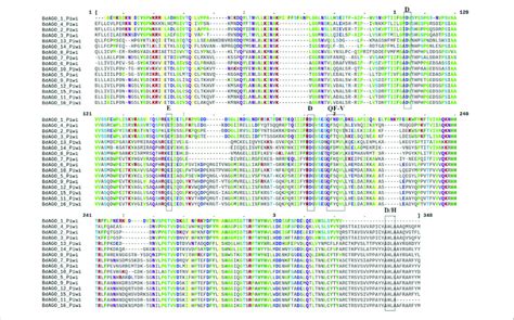 Multiple Sequence Alignment Msa Of The Piwi Domain Of Bdago