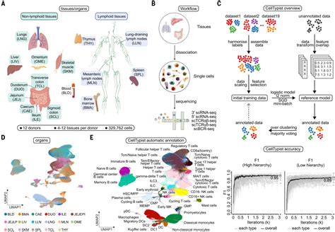 Cross Tissue Immune Cell Analysis Reveals Tissue Specific Features In