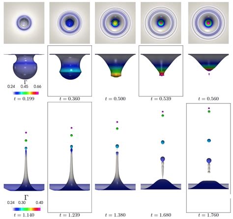 Spatio Temporal Evolution Of The Dynamics Of The Interface And Of The