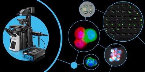 Technology Evaluation Deciphering Cell Cell Interactions In A 3d