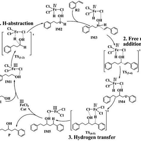 Summary Of The Dft Calculated Reaction Pathway For Fecl 3 Catalysed