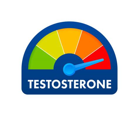 60 Testosterone Level Stock Illustrations Royalty Free Vector