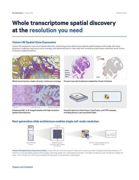 Visium Hd Whole Transcriptome Spatial Discovery At The Resolution You