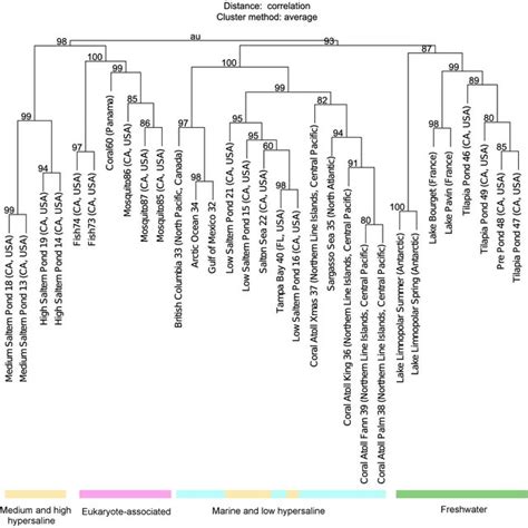 Virome Hierarchical Clustering Tree Based On Sequence Similarity This